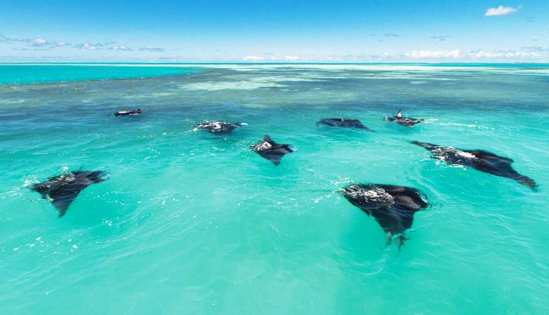 Alphonse Island Resort - beyond senses