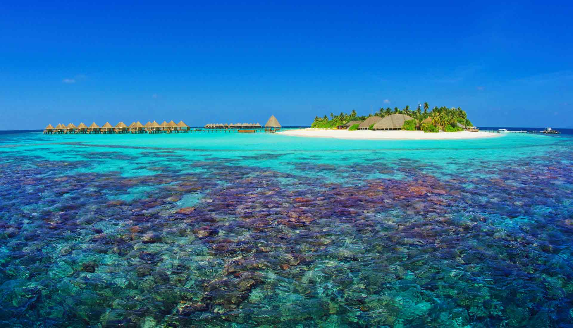 Angaga - buchen bei beyond senses travel