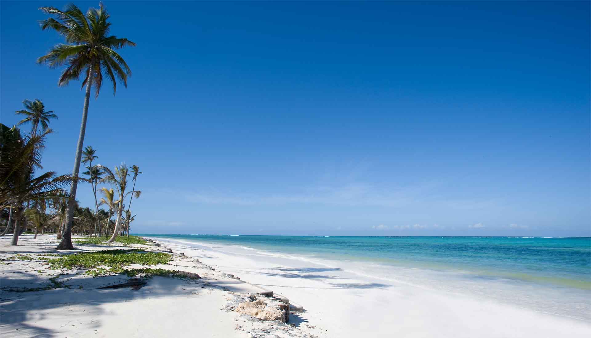 Baraza Resort & Spa (Sansibar) - Buchen bei beyond senses travel