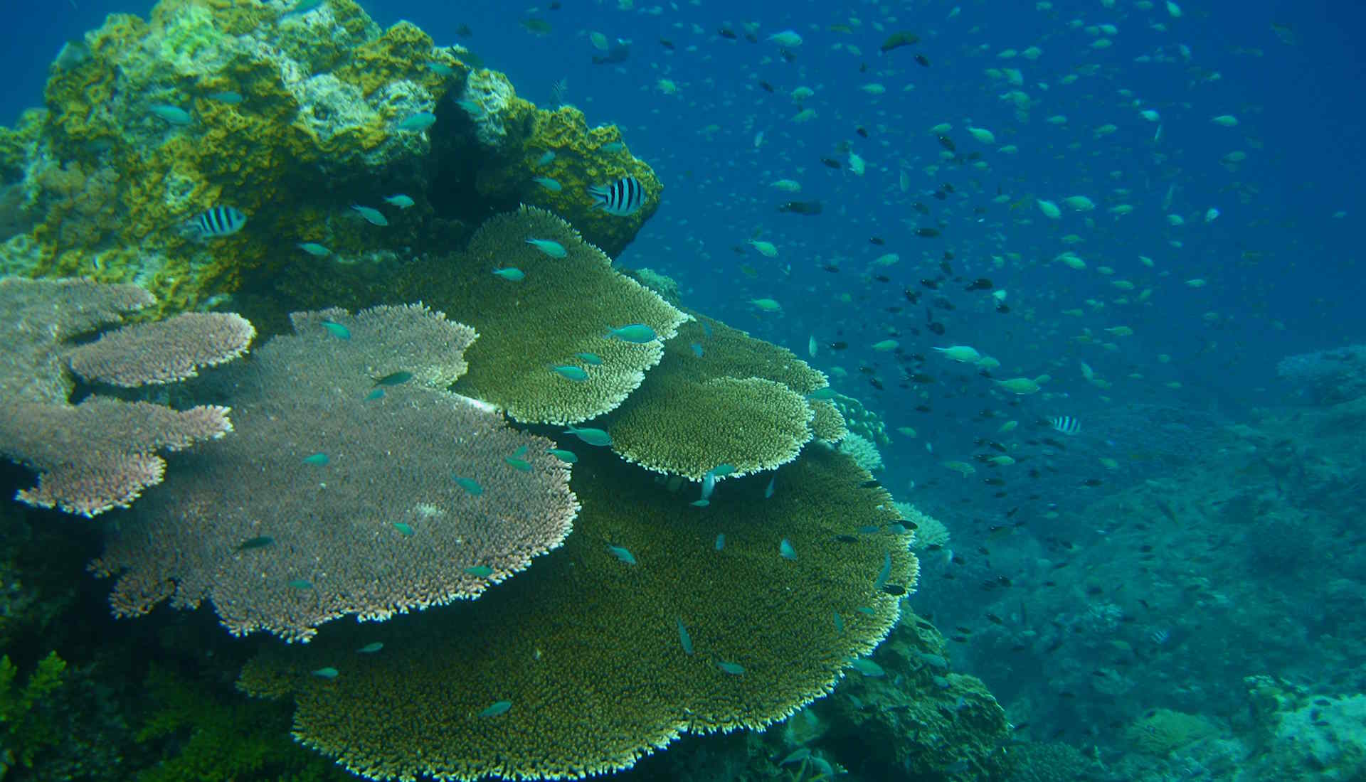 Bawah Reserve Resort - beyond senses travel