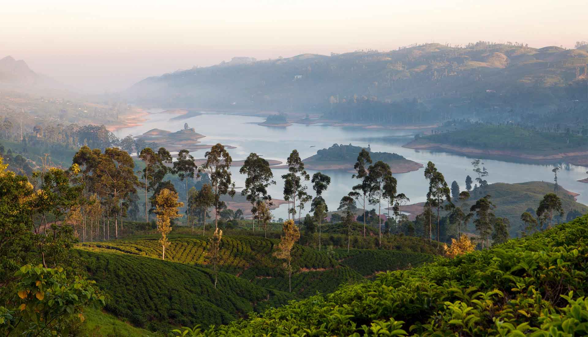 Ceylon Tea Trails - beyond senses travel - Sri Lanka Spezialist Köln