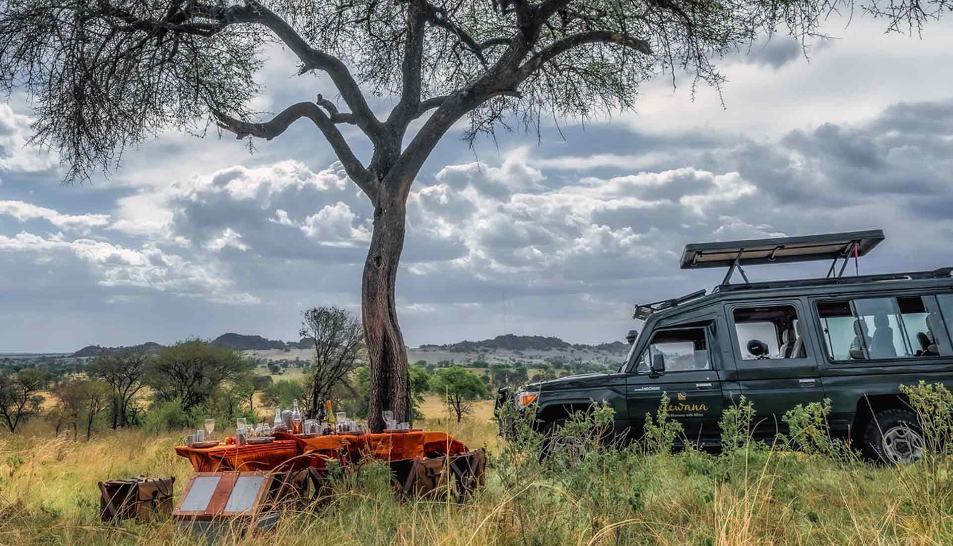 Elewana Serengeti Migration Camp - beyond senses