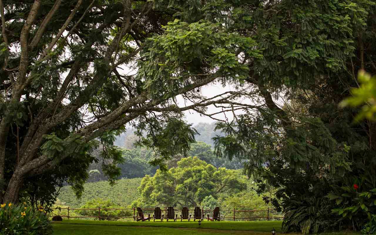 Elewana The Manor at Ngorongoro - beyond senses