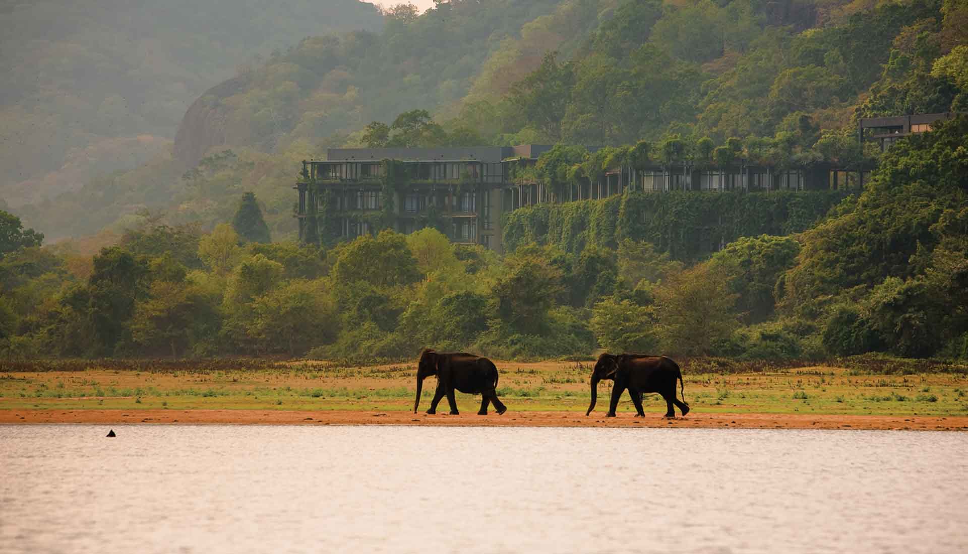 Heritance Kandalama - beyond senses travel - Sri Lanka Experte