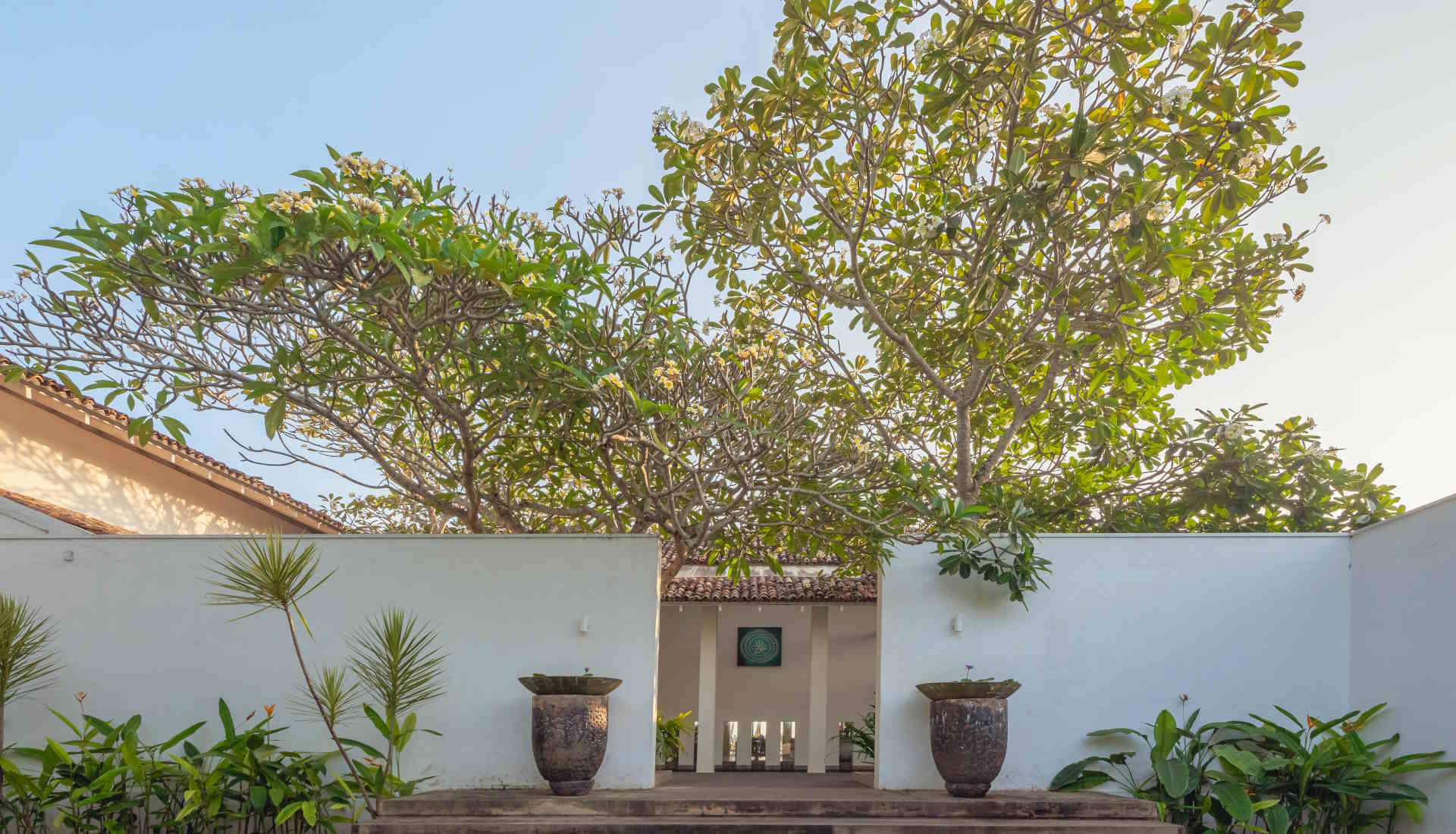 Ishq Talpe - beyond senses travel - Sri Lanka Spezialist