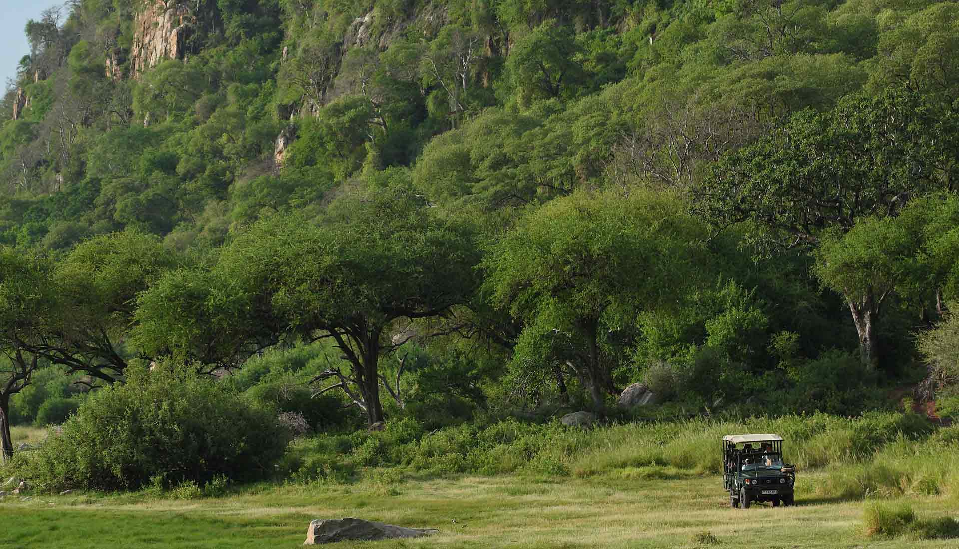 andBeyond Lake Manyara Tree Lodge - beyond senses