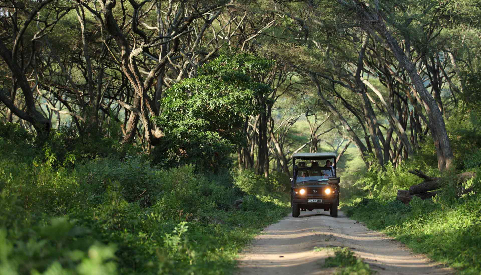 andBeyond Lake Manyara Tree Lodge - beyond senses